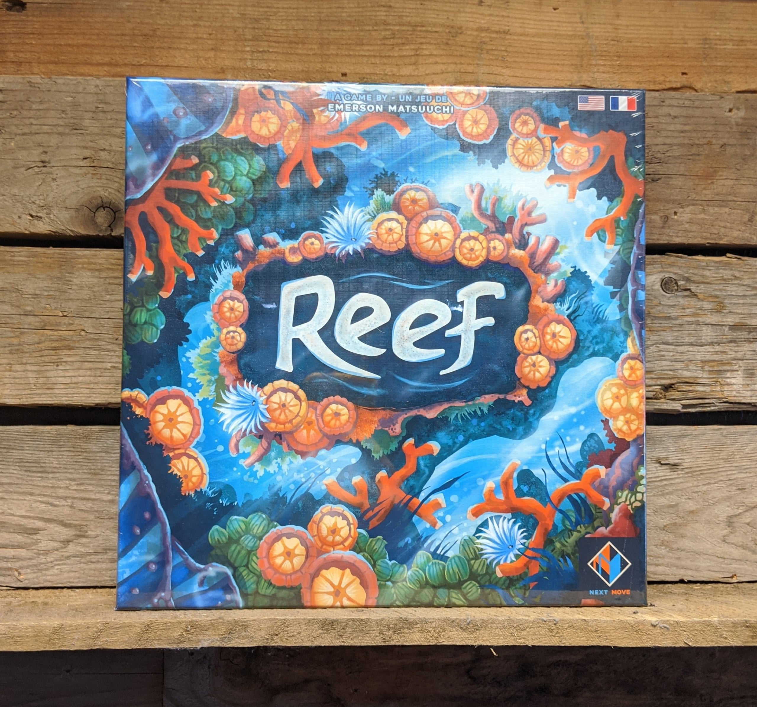Reef | Shop BoardwalkPTBO